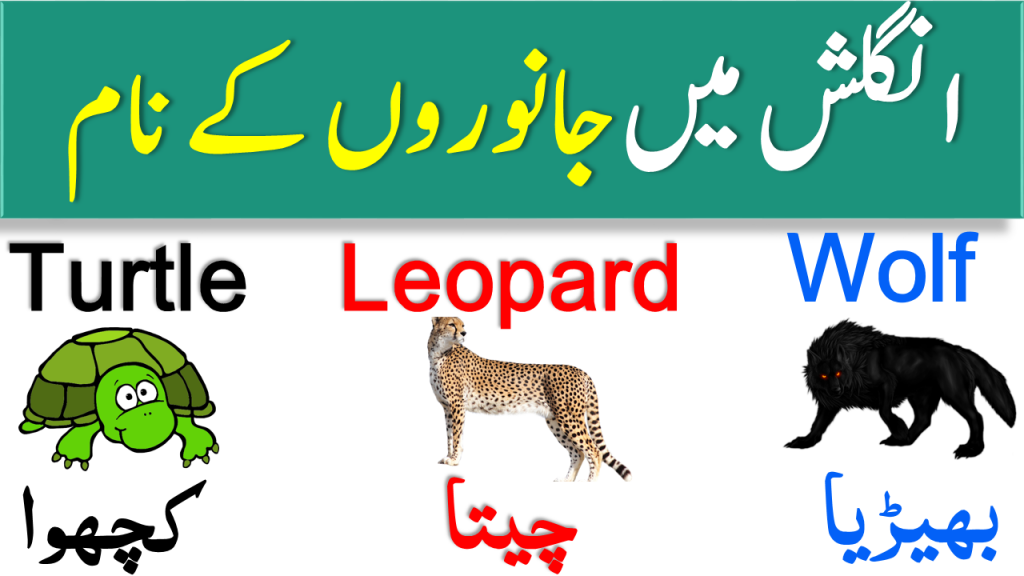 A to Z Basic Vocabulary Words with Urdu Meanings - ilmist
